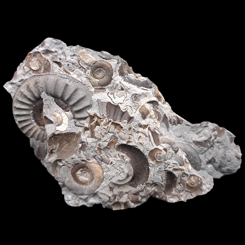 Geology Superstore | Mining Tools, Geology Equipment, Rocks, Minerals ...